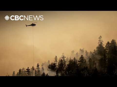 Hundreds of properties under evacuation order as Pear Lake wildfire grows in B.C.