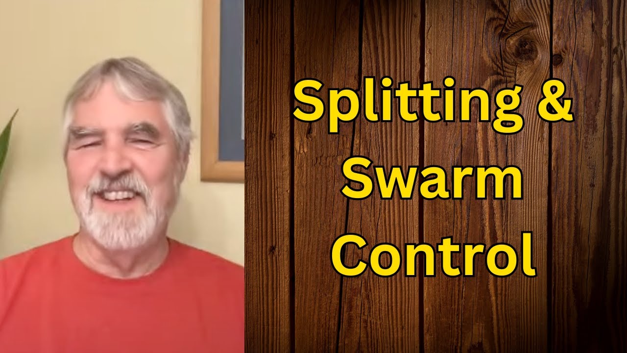 Beekeeping Segment | Splitting & Swarm Control - Bob Binnie - YouTube