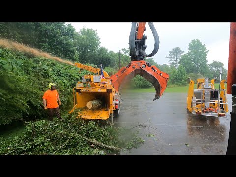 Dangerous tree cutting during a severe storm to save a building - YouTube