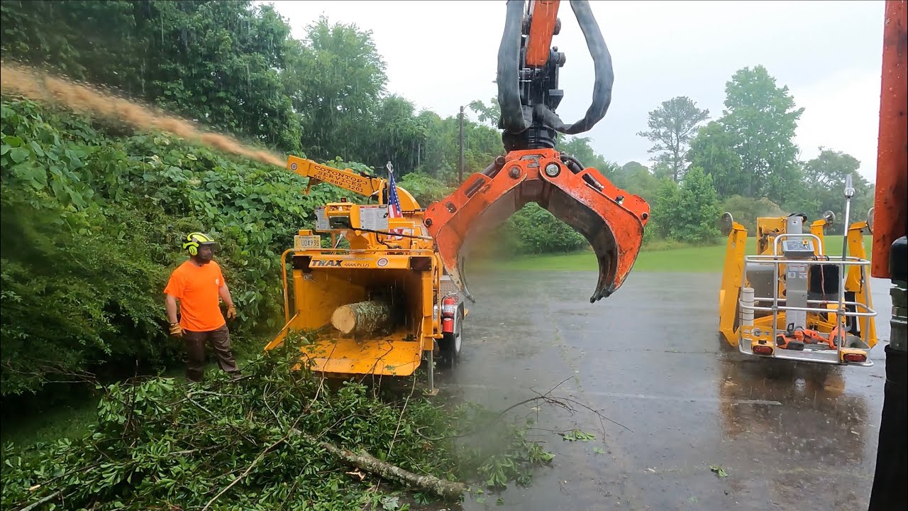 Dangerous tree cutting during a severe storm to save a building - YouTube