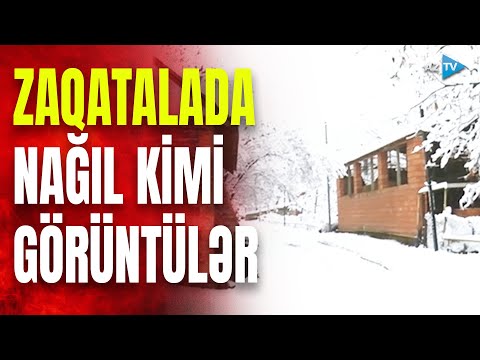 Zaqatala da ağ örpəyə büründü: nağılları xatırladan görüntülər