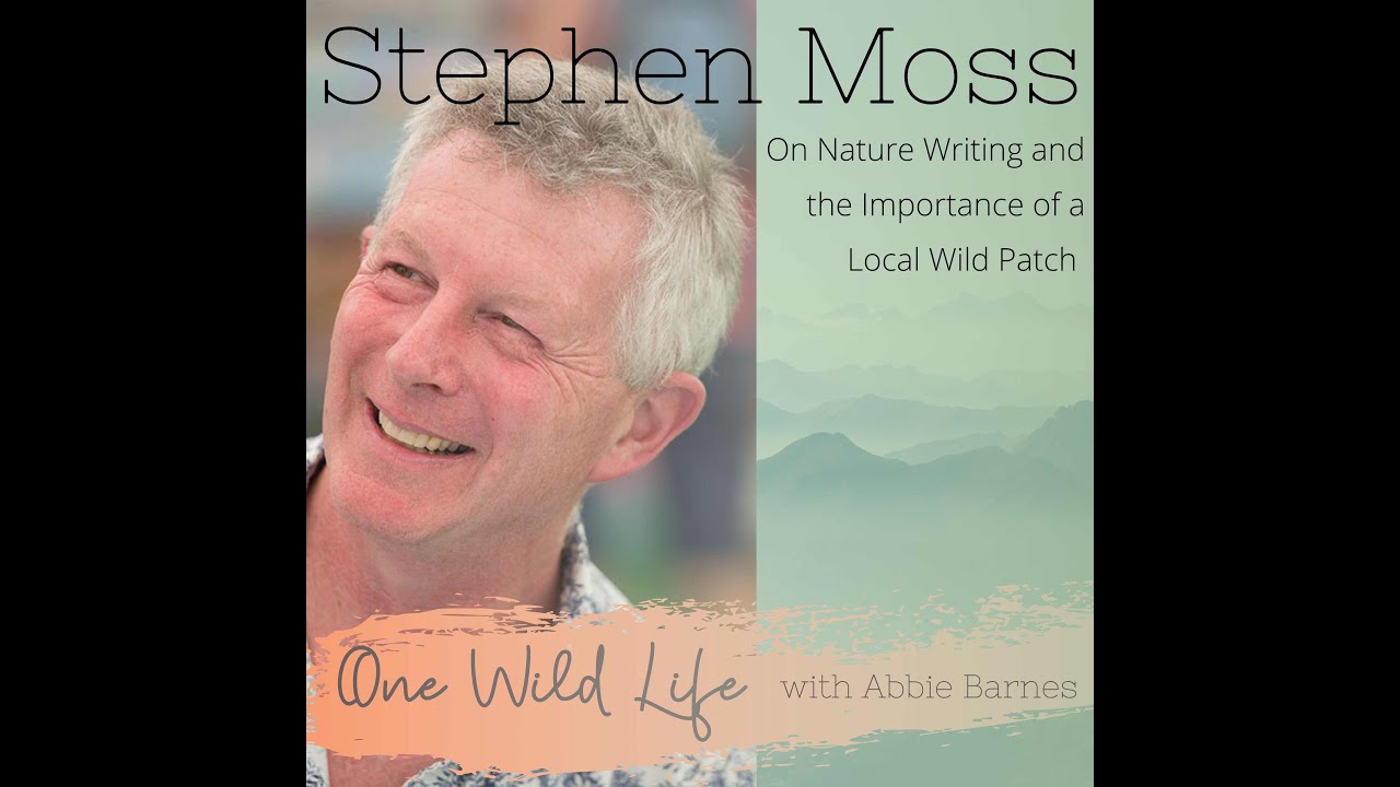 #3 Stephen Moss On Nature Writing and the Importance of a Local Wild ...
