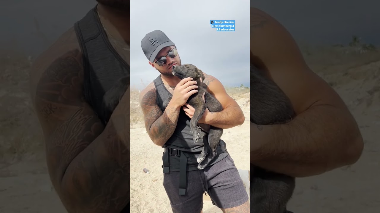 Couple Saves The Cutest Puppy From The Side Of The Road | The Dodo ...