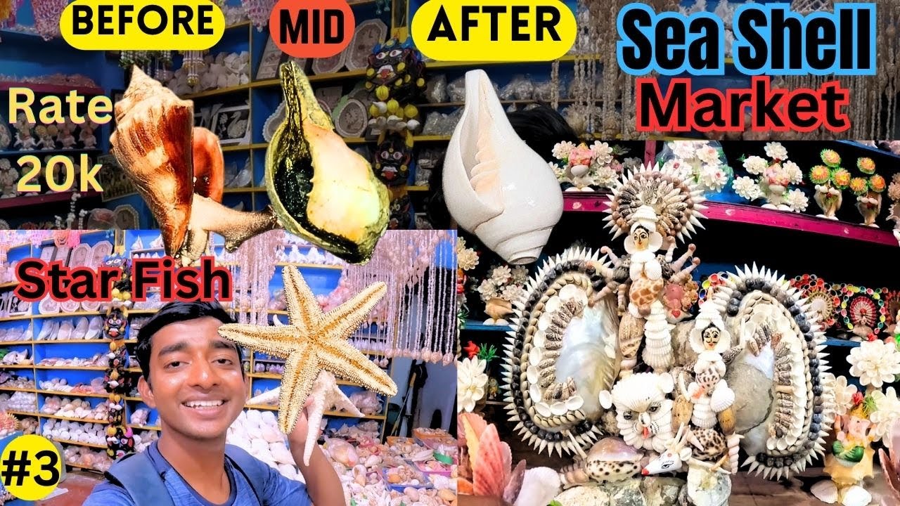 Kanyakumari Sea Shell And Silk Saree Market | Star Fish | Zinda Sea ...
