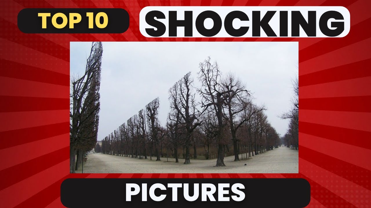 Top 10 shocking pictures ever taken - YouTube