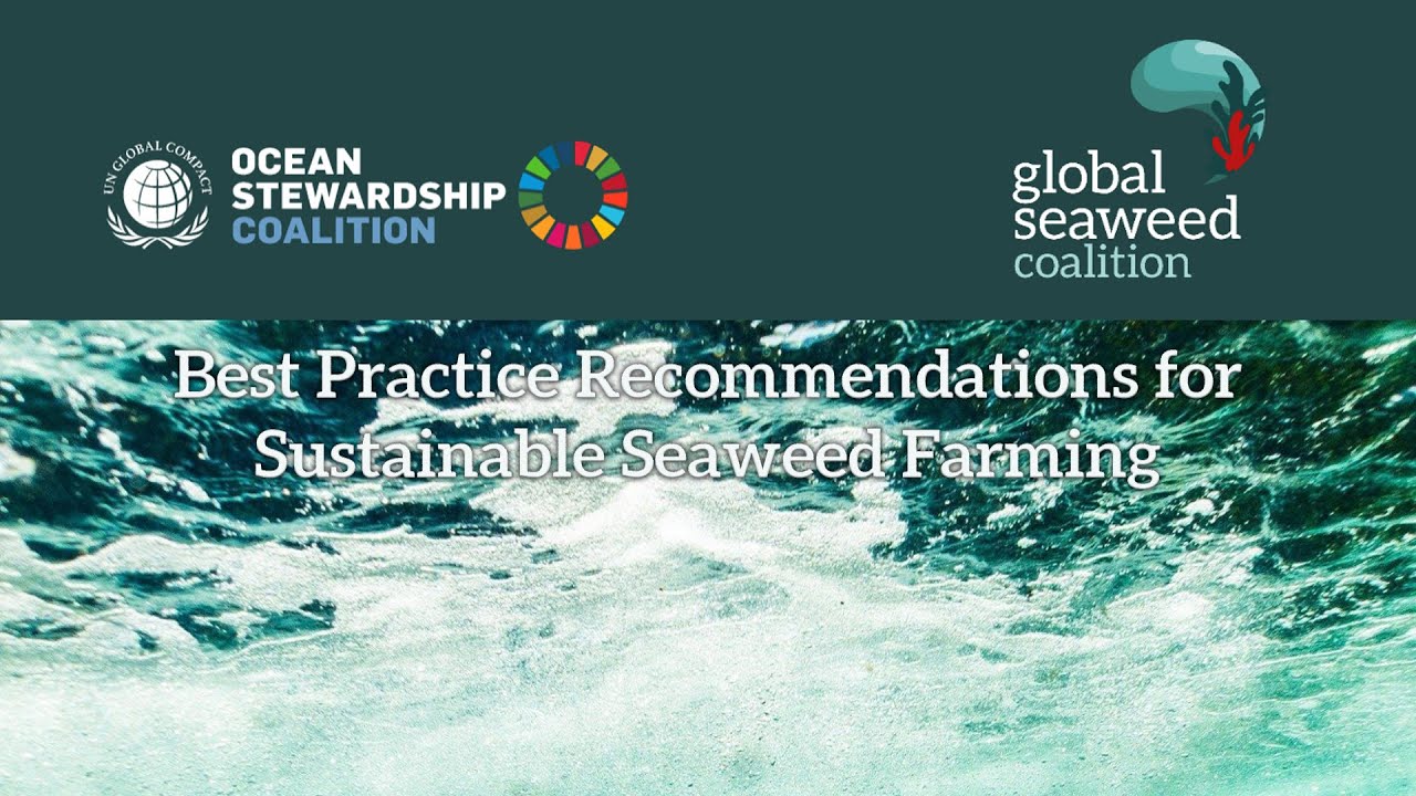 Best Practice Recommendations for Sustainable Seaweed Farming - YouTube