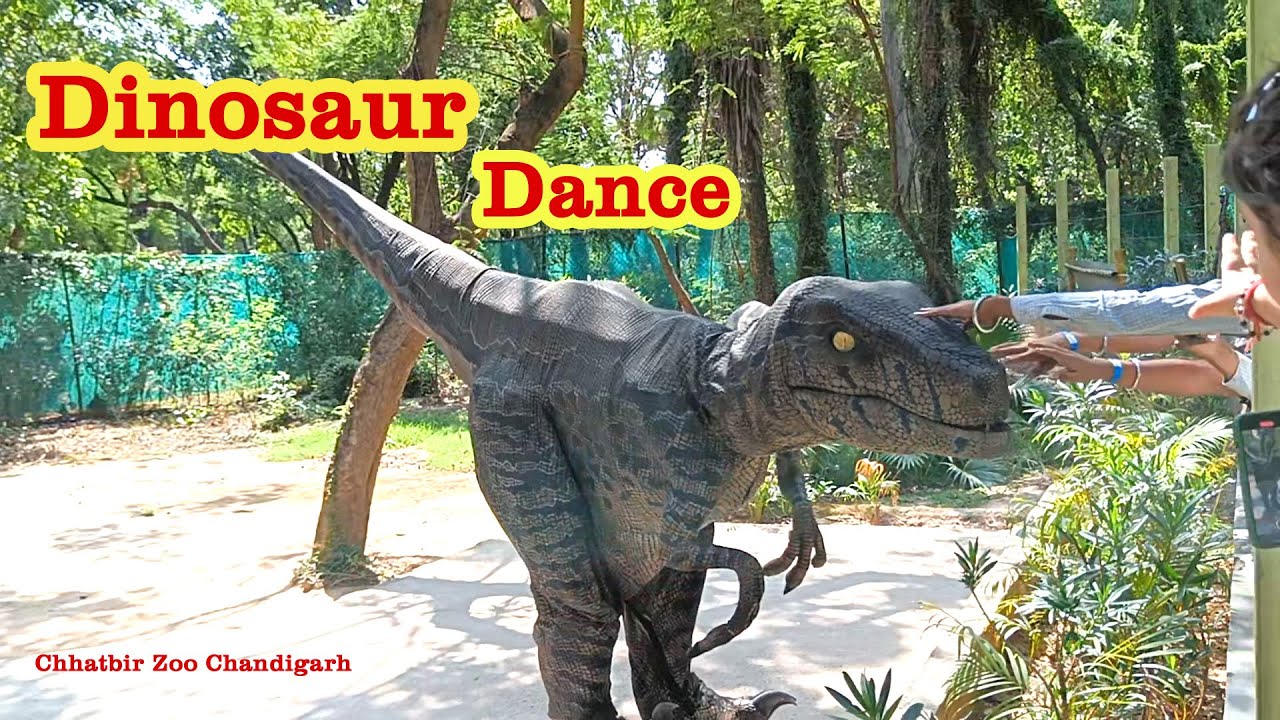 Chhat Bir Zoo Chandigarh 2023, Dinosaurs Park, Chandigarh Zoo, Banur ...