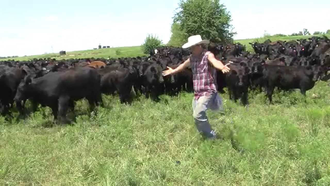 Farmer Derek does the Whip Nae Nae - YouTube