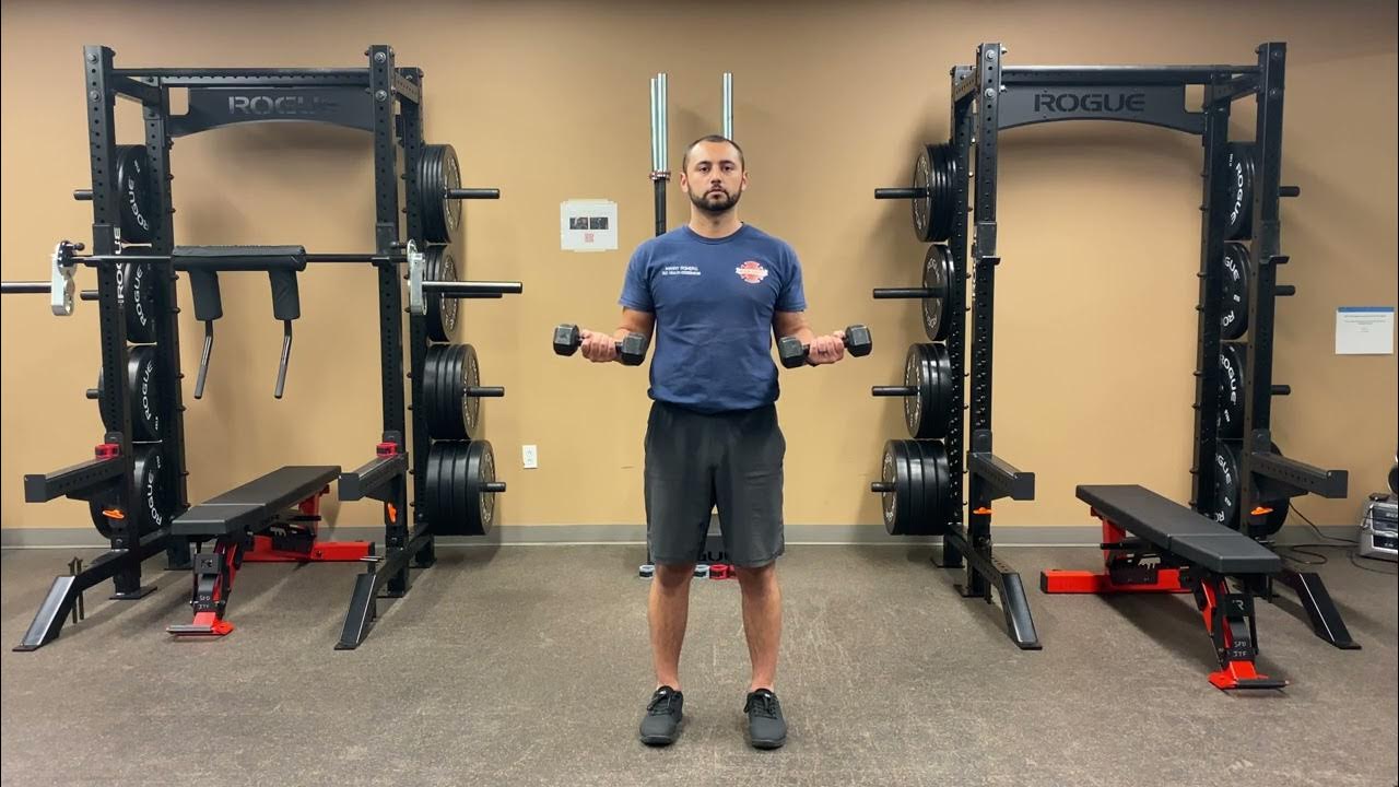 Dumbbell Db Bicep Curl Isometric Hold Youtube