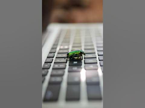 Why Computer Errors Called Bugs? 😳 #shorts - YouTube