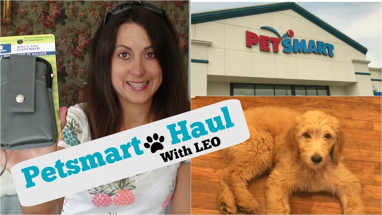 Pet Smart Haul With Leo Our Goldendoodle - YouTube