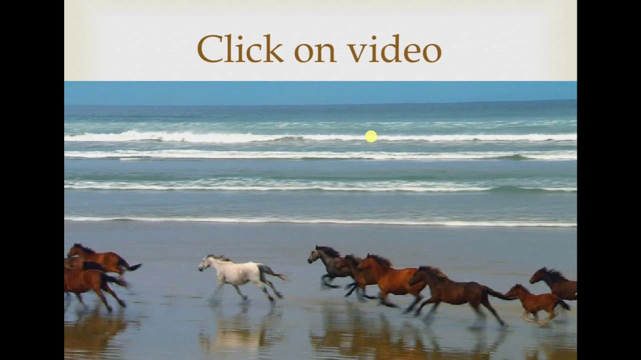 Sounds And Video how To Insert Audio And Video In Ppt How To Insert Audio And Video In Sounds And Video how To Insert Audio And Video In Ppt How To Insert Audio And Video In
