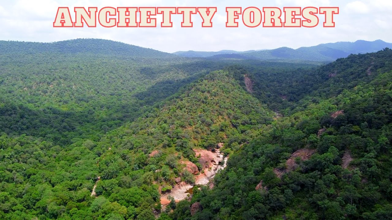 ANCHETTY FOREST | UNEXPLORED | SK GLOW - YouTube