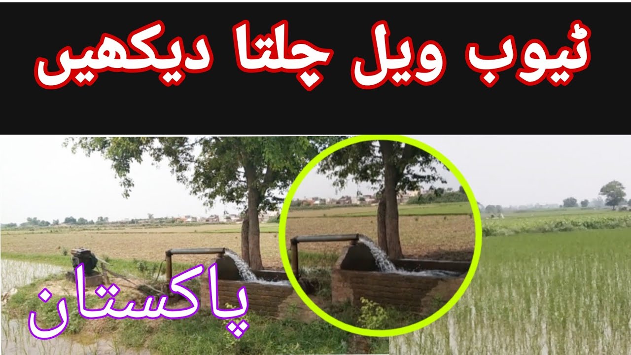 tube well vloge !!green invirement !! Sialkot bajwat pakistan 2021 ...