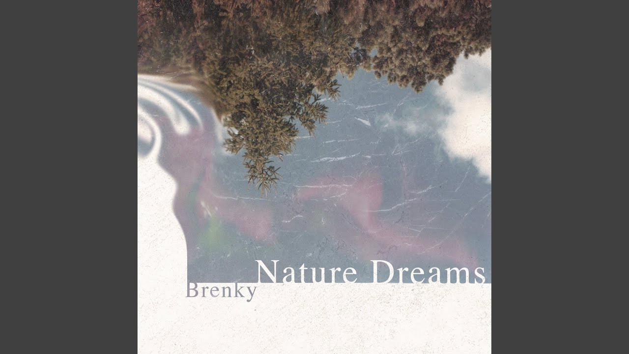 Nature Dreams - YouTube
