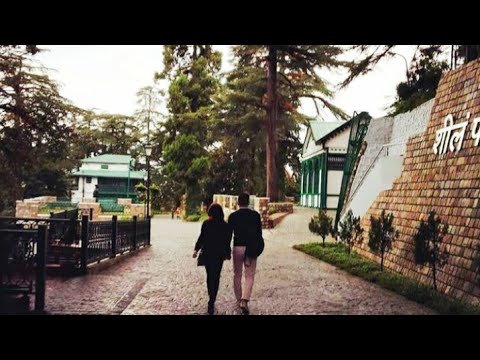 Lbsnaa IAS trainees life|Lbsnaa mussoorie Video|UPSC2020|IAS ...