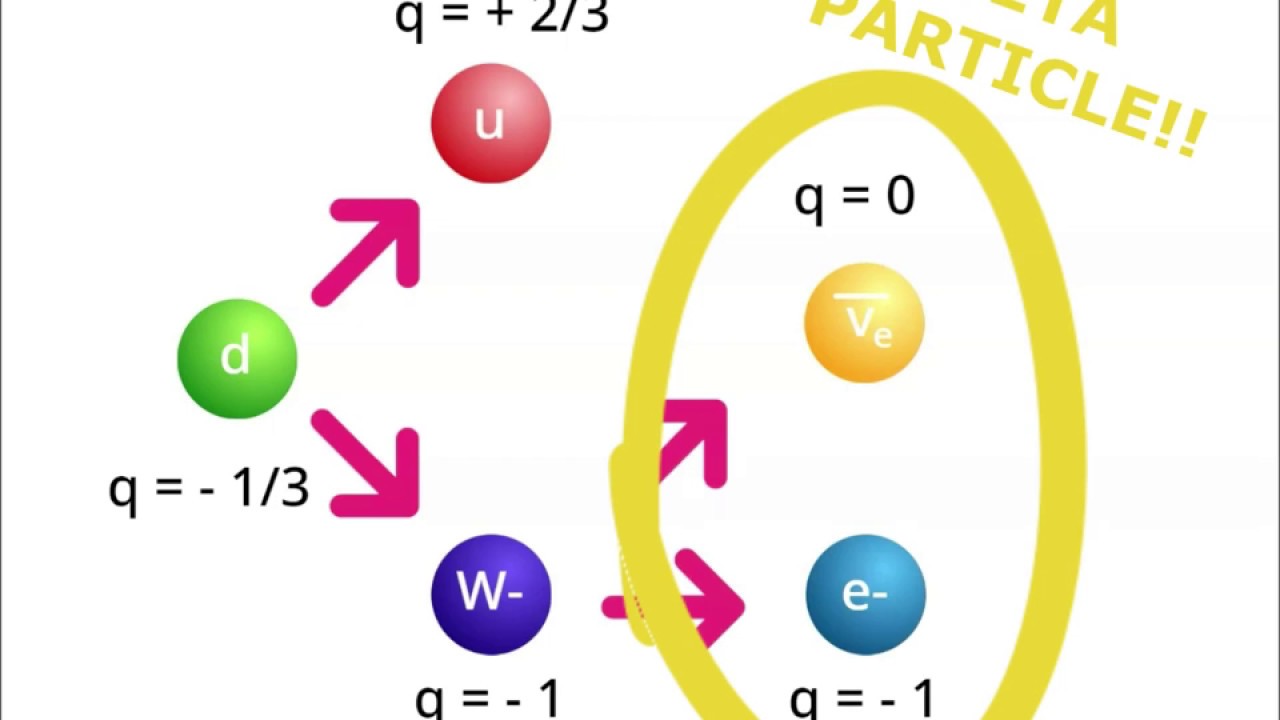 Breakthrough Junior Challenge 2020 | The W Boson, Weak Force, and Beta ...