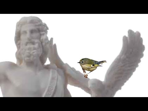 Bajka/mit grecki o mysikróliku - YouTube