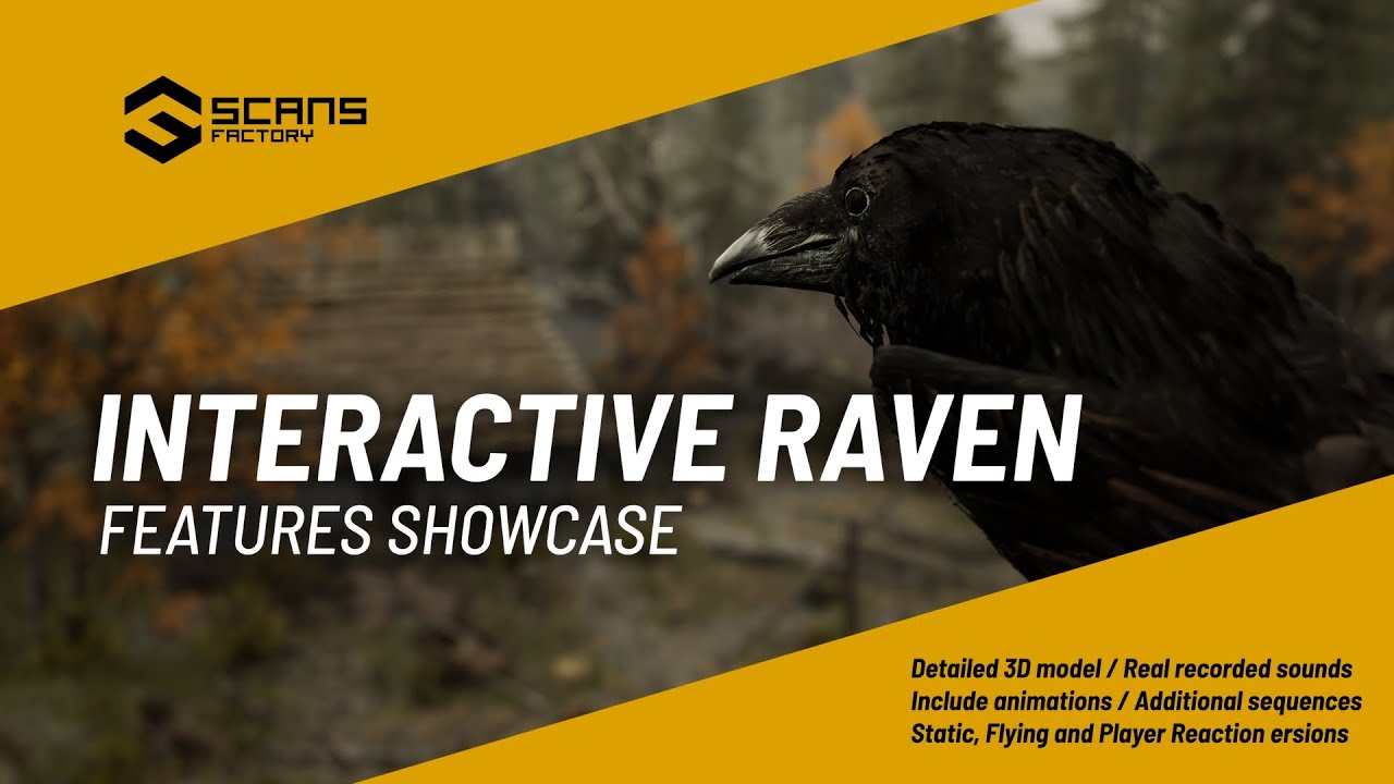 Raven - Features Showcase - YouTube