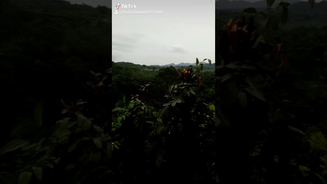 DUYAN CAFE /silay city - YouTube