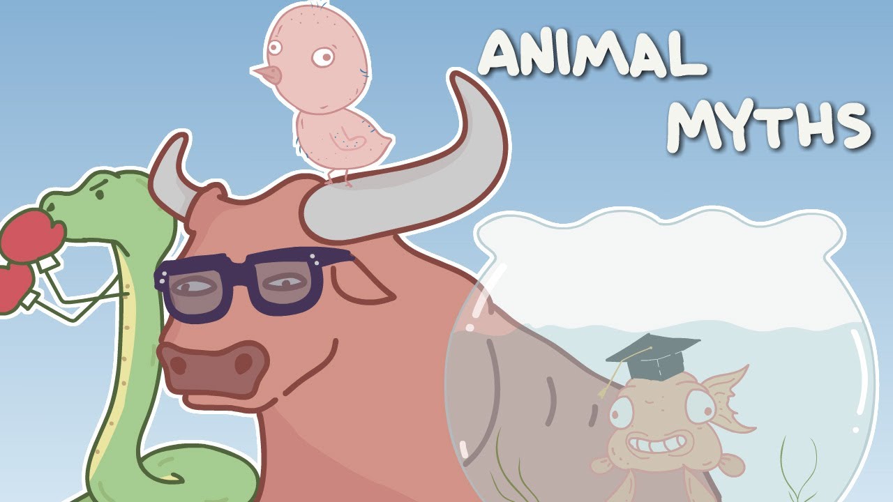 4 Animal Myths That You Need to Know - YouTube