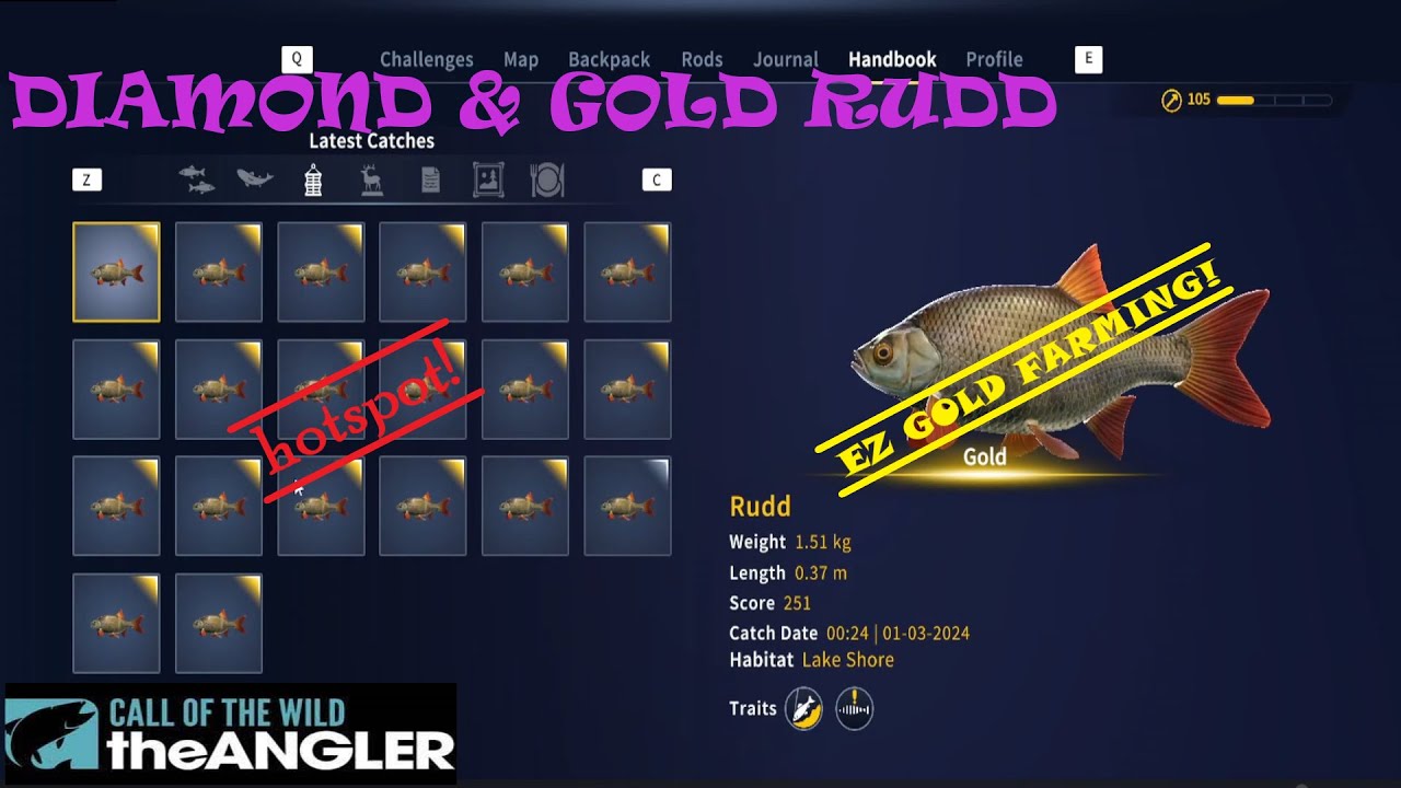RUDD DIAMOND LOCATION | EASY GOLD | TIP & TRICK - YouTube