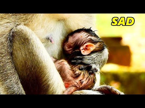 WHY SAD IN FRONT OF YOUR MILK, BABY ?? - YouTube