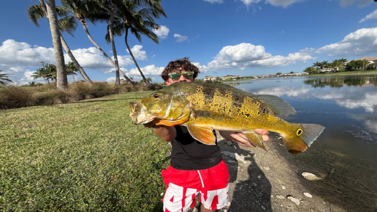 Chasing Beautiful South Florida Monsters!! - YouTube
