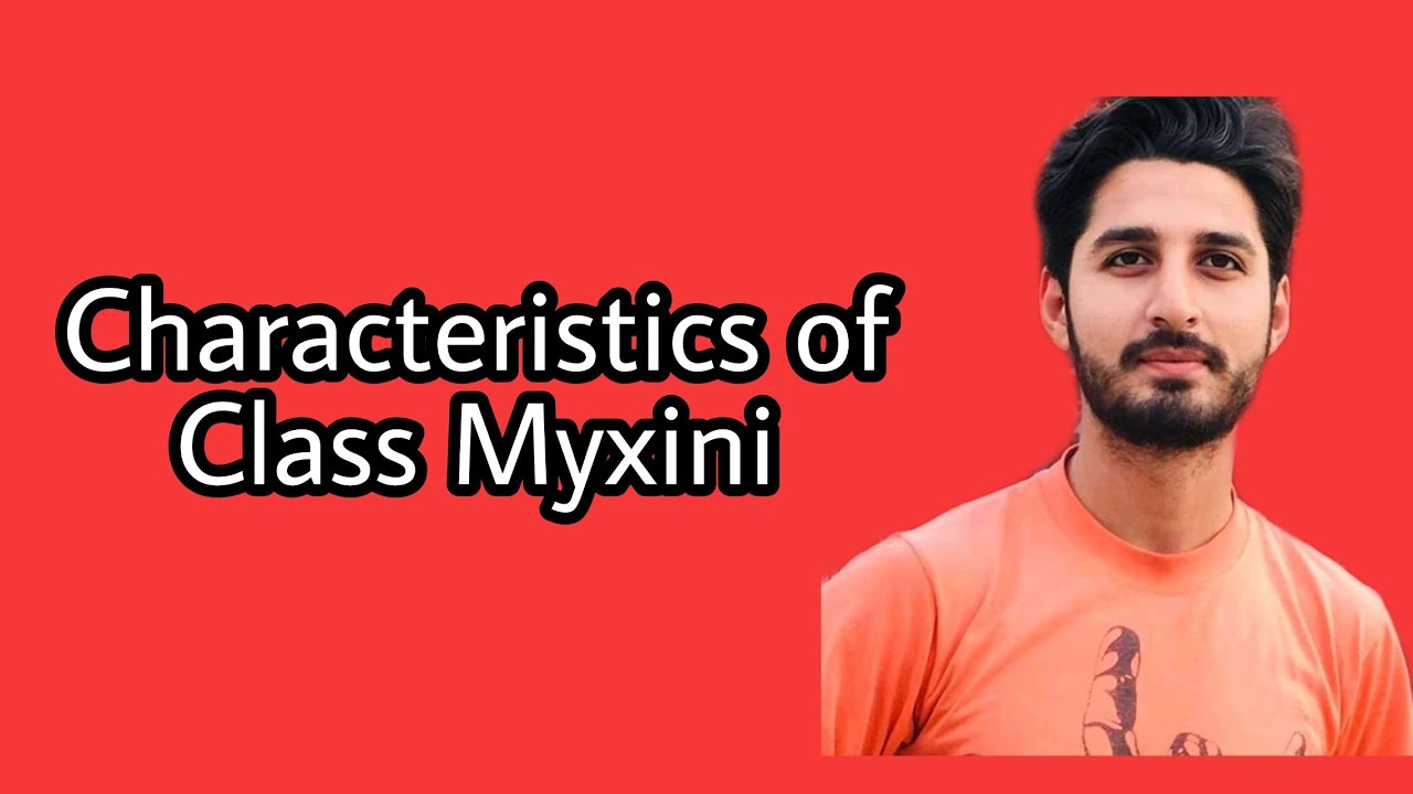 Characteristics of Class Myxini | HS BIOLOGY - YouTube
