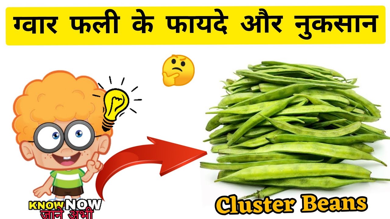 Guar Gum Cluster Beans Benefits And guar-gum-cluster-beans-benefits-and