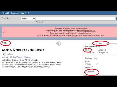 Computer aided visualization of amino acid sequence of protein and its 3D structure