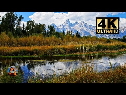 Relaxing Marsh Sounds | 4K - YouTube