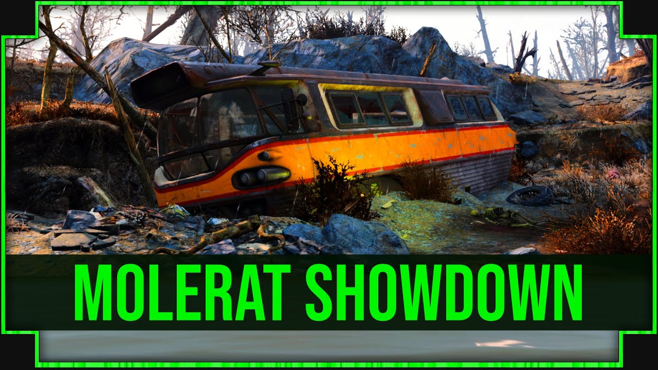 Molerat Showdown in Fallout 4 - Mystery as to what happened here! - YouTube