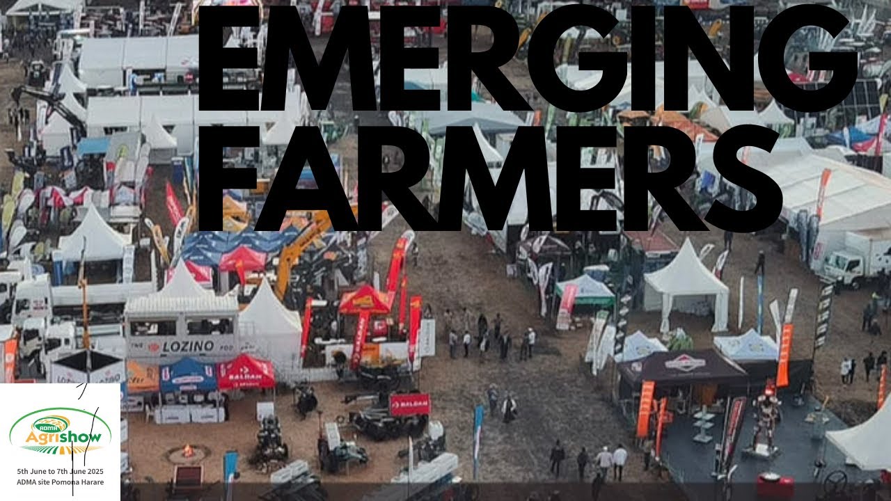 The Ultimate Guide for Beginner Farmers - YouTube