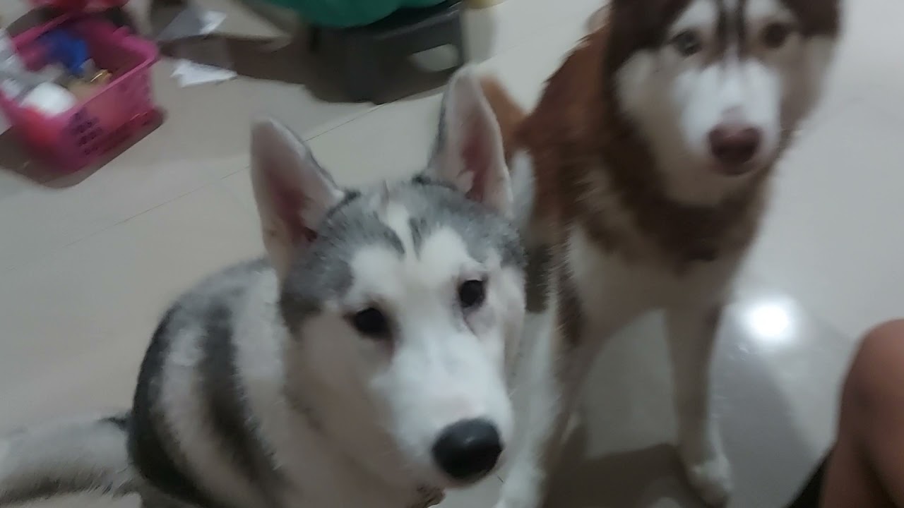 |Morning routine🌞|Raw|Gold💙|Esmé| - YouTube