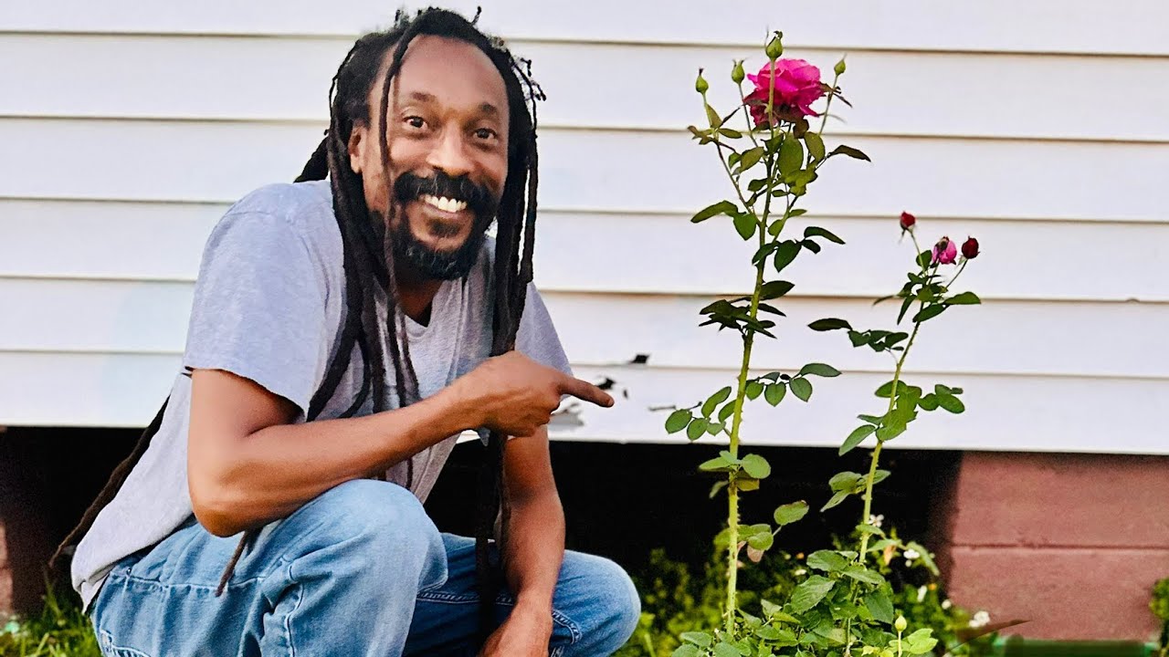 Planting Rose Bushes In My Zone 9B Garden! (My First YouTube Video ...