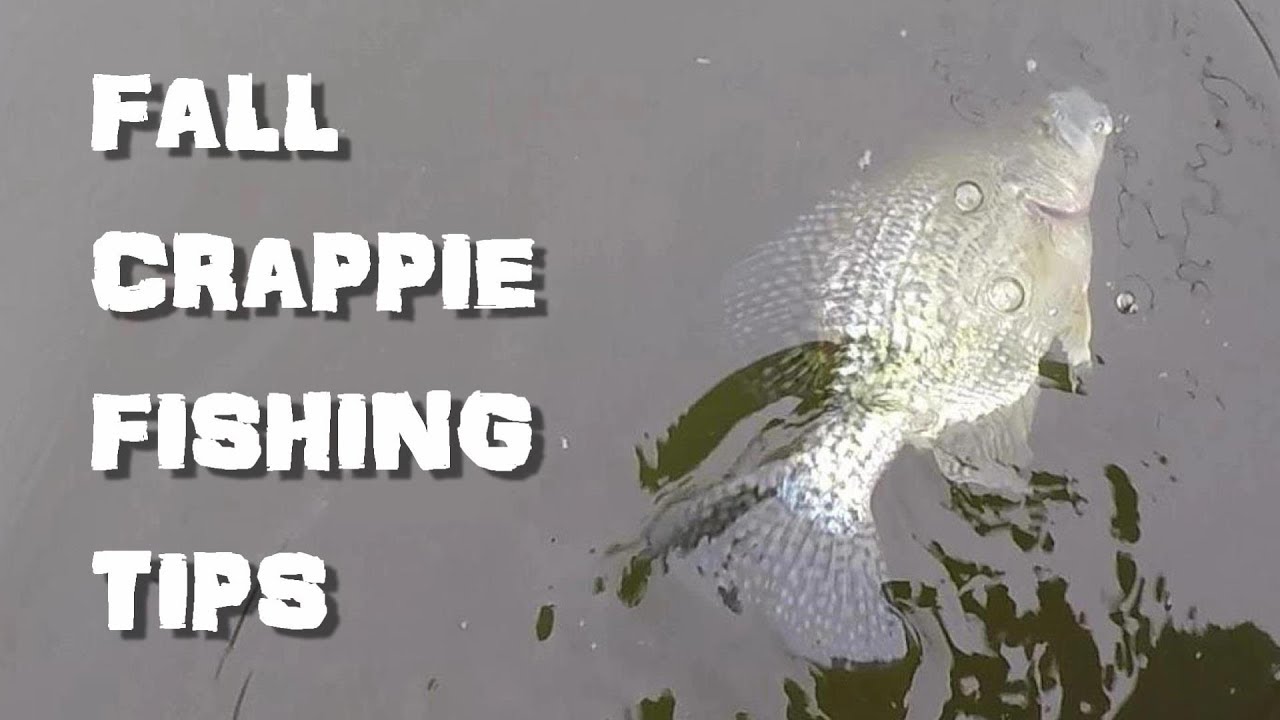 Fall Crappie Fishing Tips - Fishing High Water - YouTube