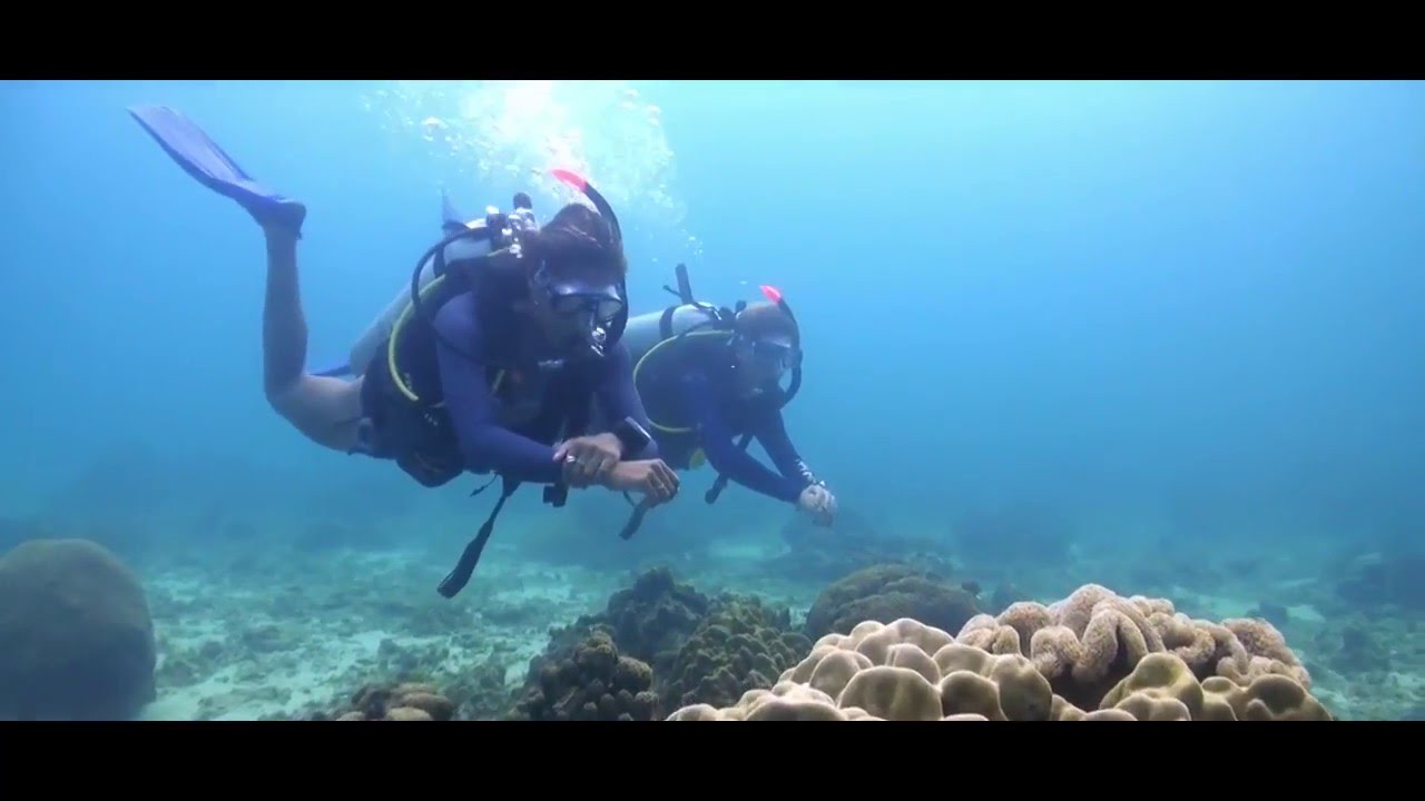 Learn to Scuba Dive - YouTube