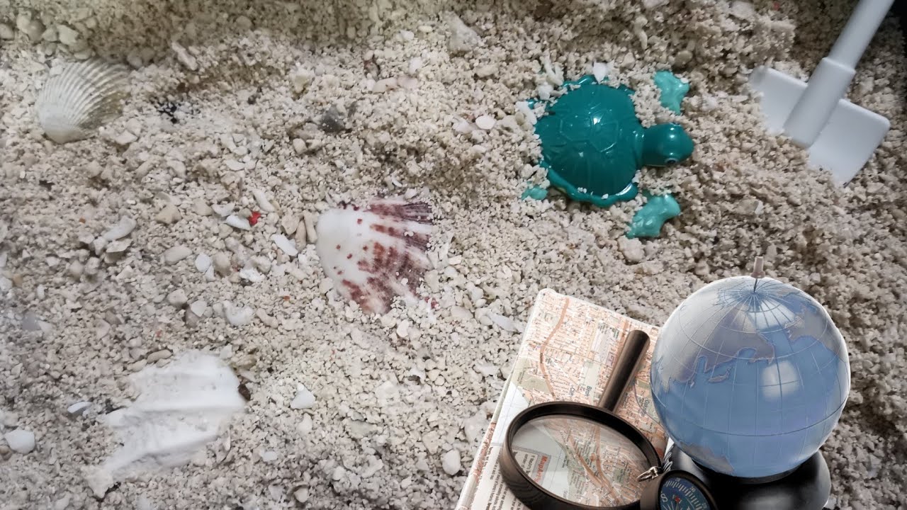 DIY Fossil Dig and Humus Soil | Science Project Ideas - YouTube