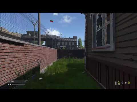 Dayz raid weekend on vets ps5 - YouTube