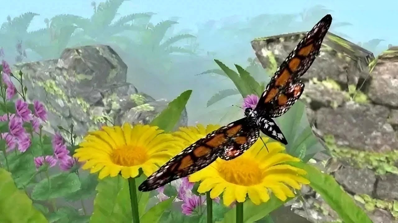 Butterfly Game Online -Life Of Butterfly- Android - Gameplay - YouTube