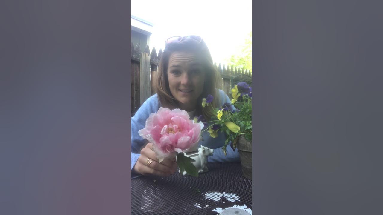 Mindfulness Moments: Flowers & Breathing - YouTube