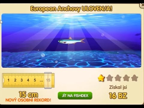 Fishao: European Anchovy - Seagull Harbor - YouTube