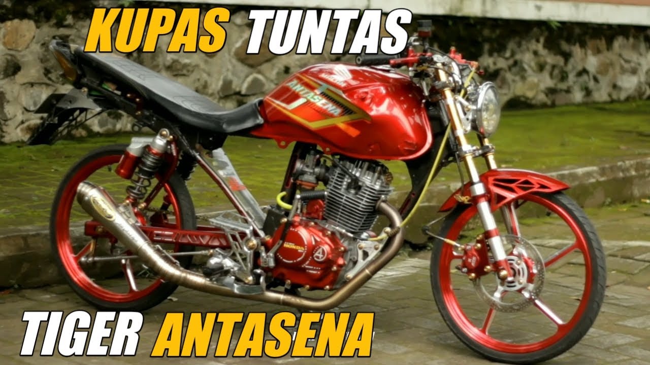 HEREX Style - REVIEW TIGER ANTASENA - YouTube