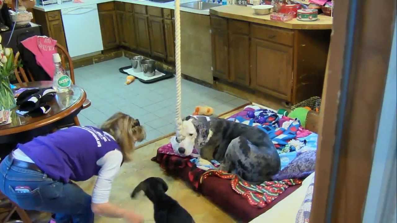 Good Morning Tracy Perry & Kiara - YouTube