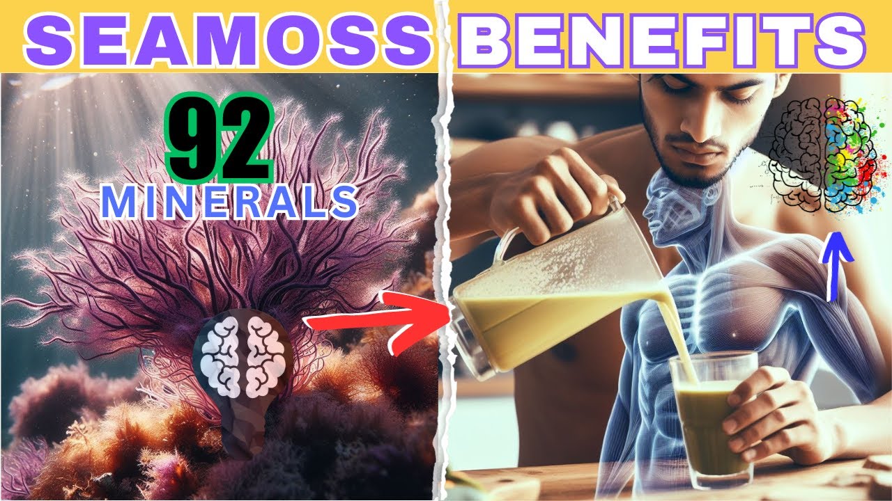 11 SEAMOSS Benefits - The ULTIMATE Seamoss Breakdown From [SEA to ...