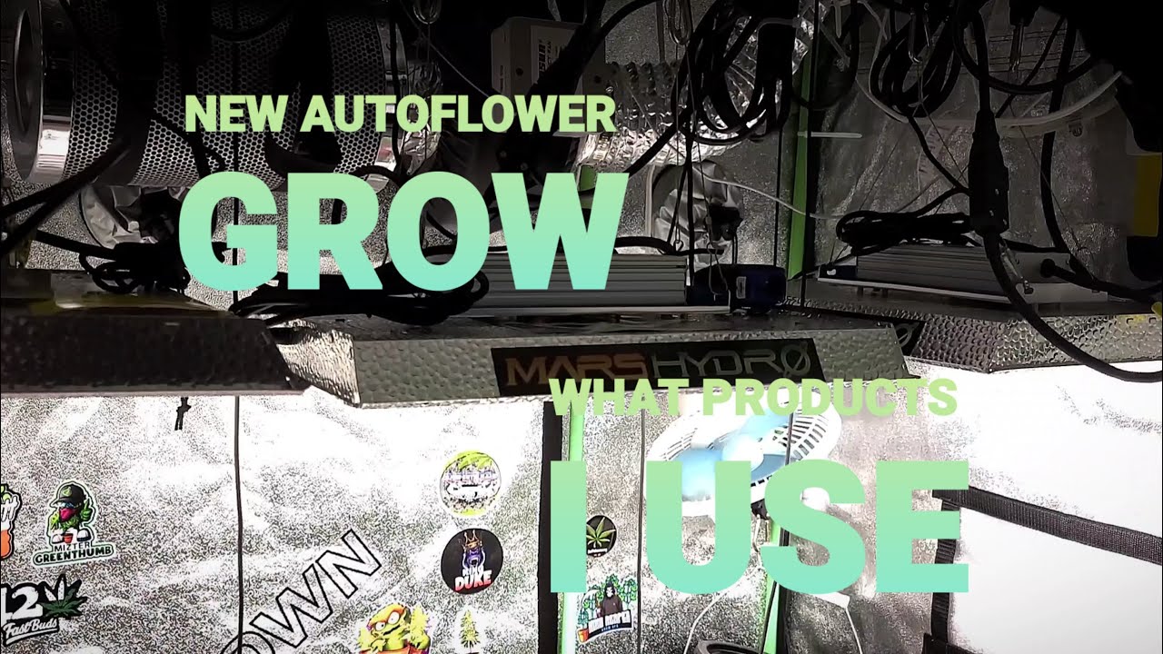 Autoflower Grow Journal. New perpetual grow rundown! What products I ...