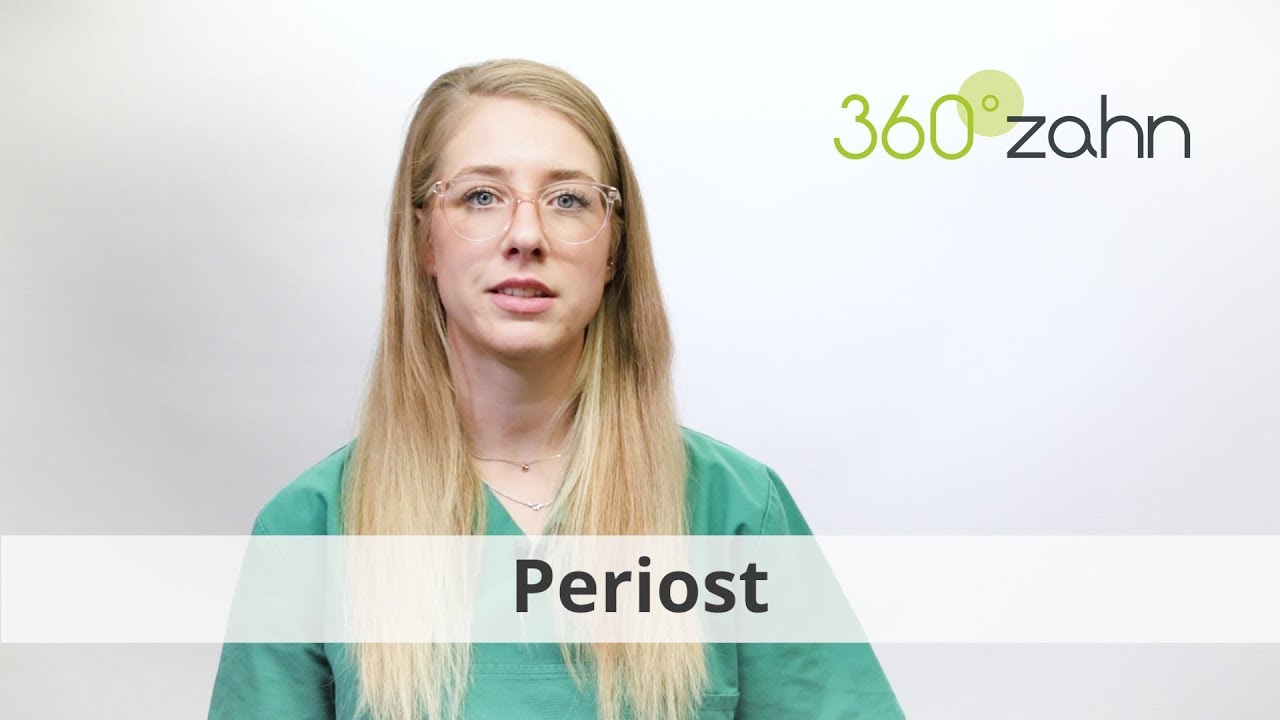 Periost - Was bedeutet Periost? | Dental-Lexikon | 360°zahn - YouTube
