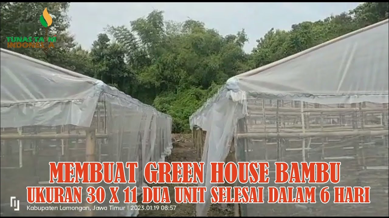 MEMBANGUN GREEN HOUSE BAMBU DARI AWAL HINGGA JADI | PEMBORONG ANDALAN ...