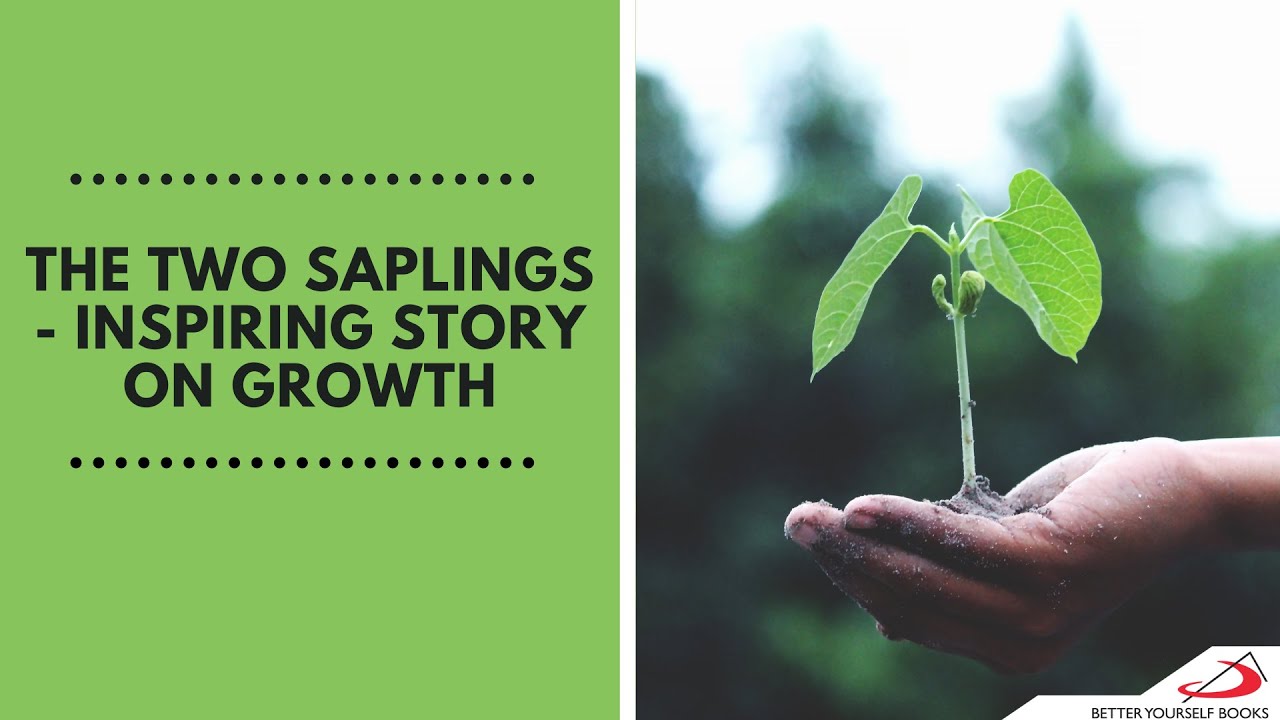 The Two Saplings | Inspiring Story on Growth - YouTube